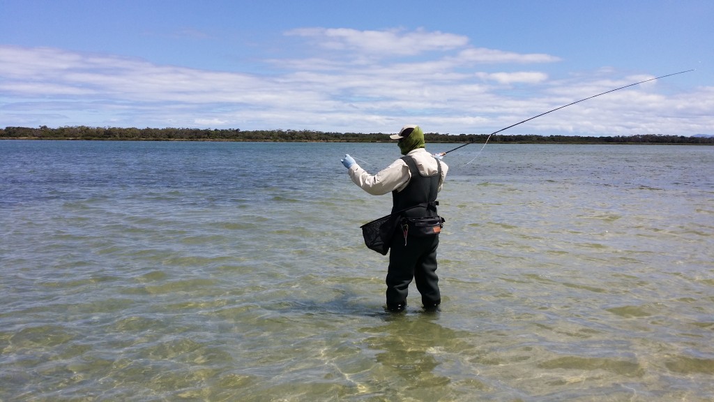 In Action – Saltwater Trip December 2013 - Calder Fly Fishing ...