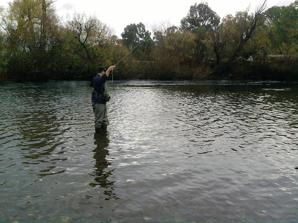 Dusan's First Goulburn Fish - Calder Fly Fishing Association - A club ...