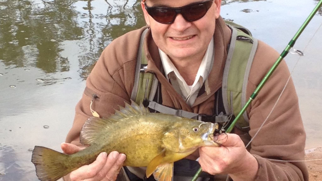 Golden Day - Trip Report - Calder Fly Fishing Association - A club ...